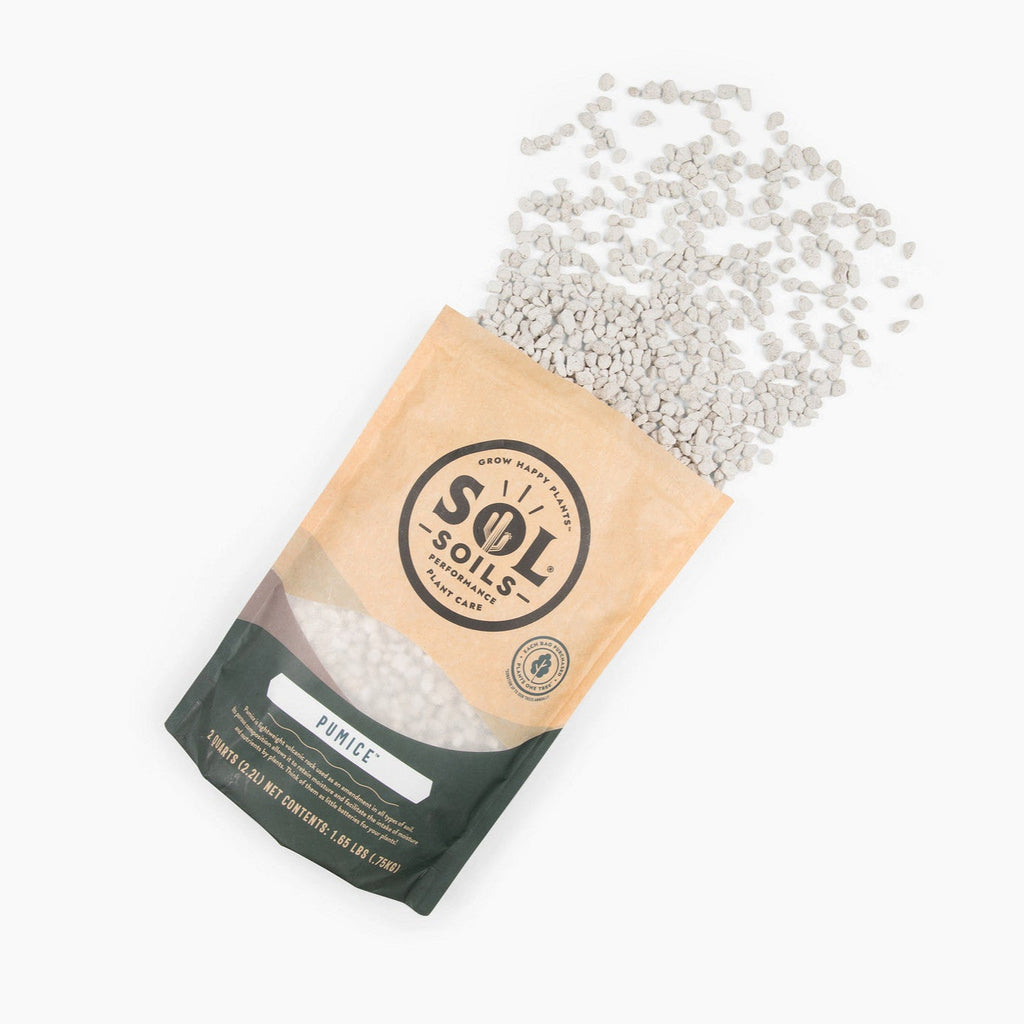 Pumice – KAC Exotic Plant Collective